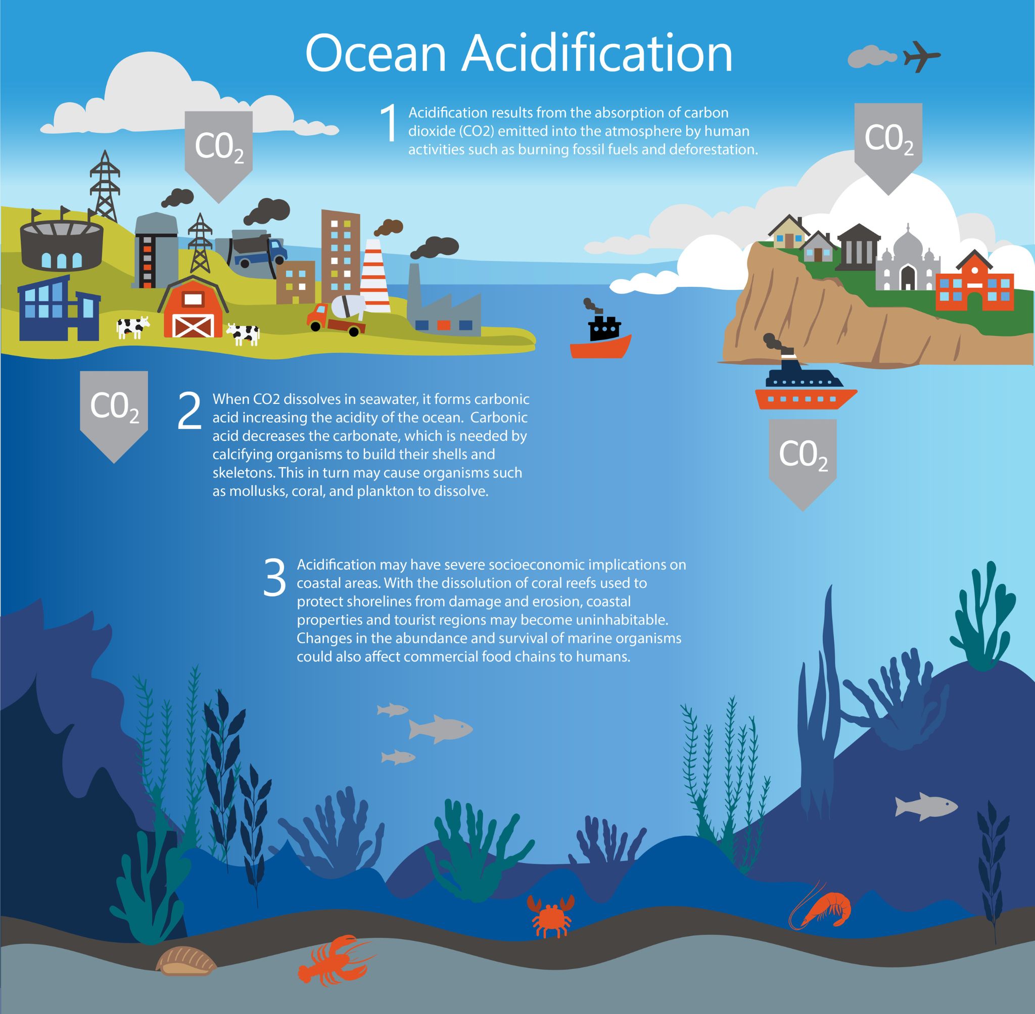 Keystone Species- The Glue of Our Ecosystems - Cornell Climate Crusaders